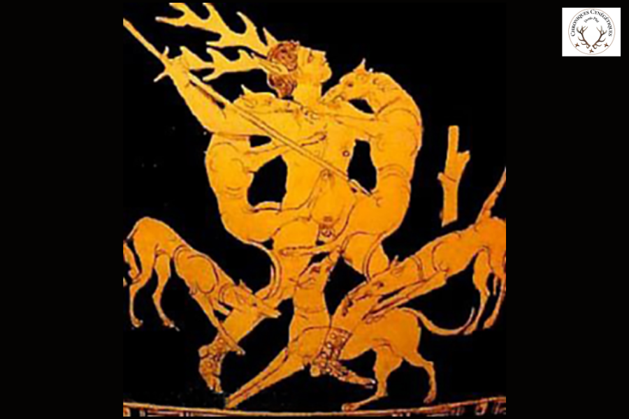 Actéon, le chasseur puni par Artémis – Chroniques cynégétiques